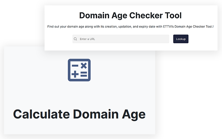 Domain Age Checker - Check Website Age | ETTVI