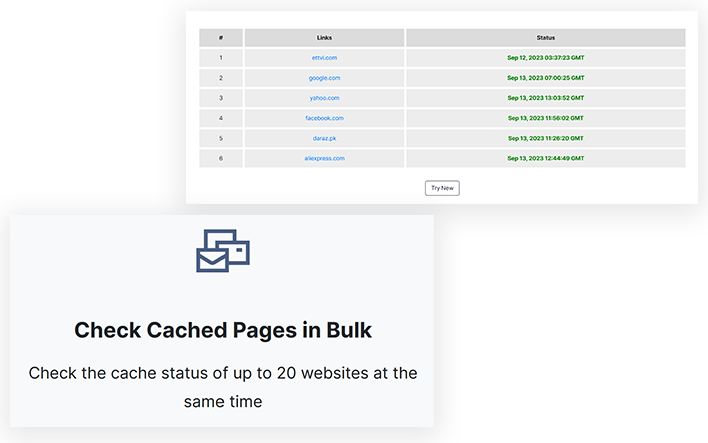 Google Cache Checker - View Cached Page of Any Website | ETTVI
