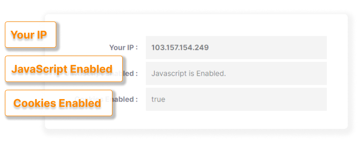 What is My Browser - Detect Your Web Browser | ETTVI
